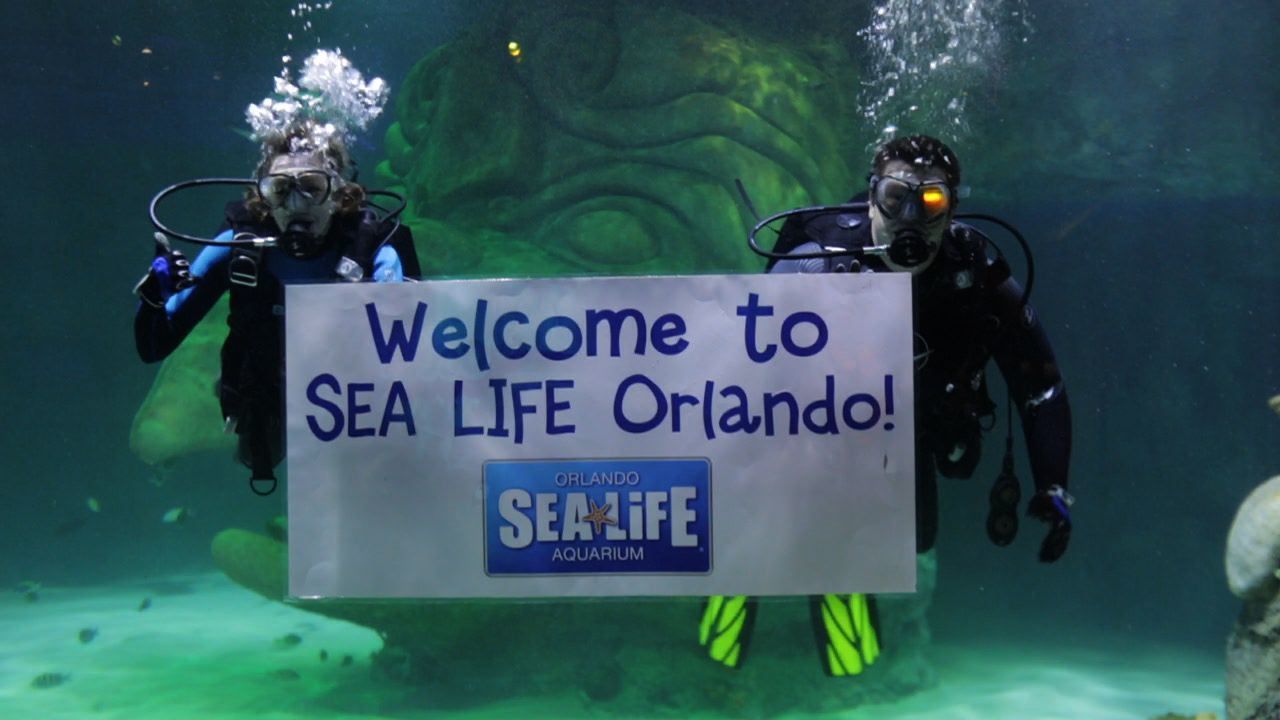 10 Wildlife Attractions in the Orlando Area You Must Visit | StayPromo